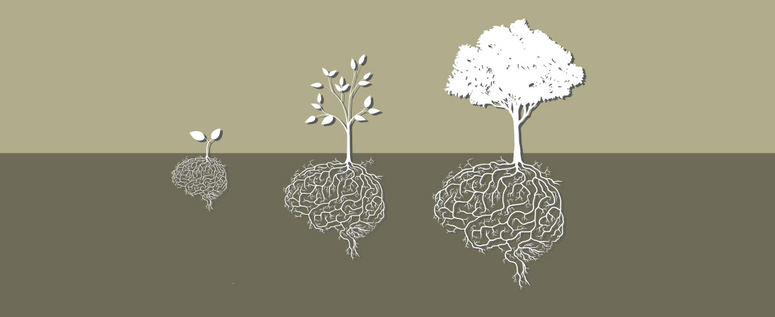 Resources - The Brain Reprogramming Doctor Resources - The Brain Reprogramming Doctor