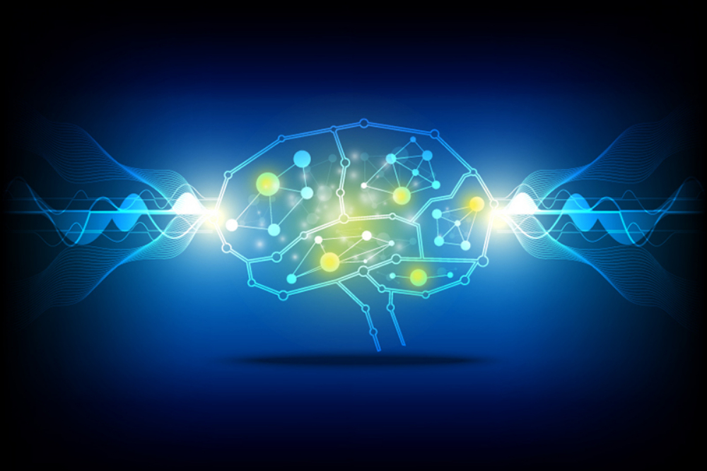 How to Rewire your Brain using Neuroplasticity - The Brain ... How to Rewire your Brain using Neuroplasticity - The Brain ...