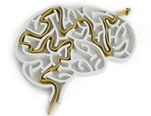 A Direct Line to Your Brain - The Brain Reprogramming Doctor